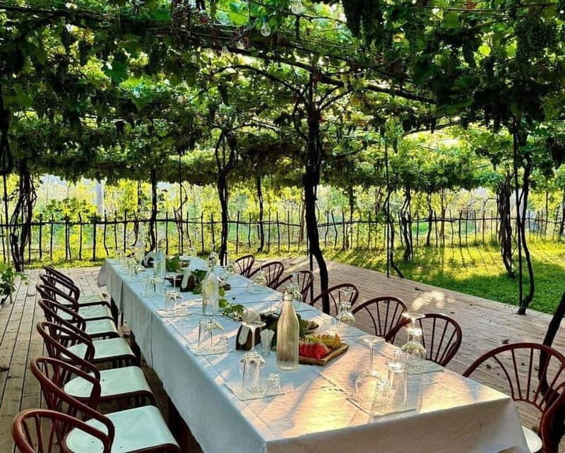 Wine Tasting Experience at Alpeta Winery - A Deep Dive into the Experience