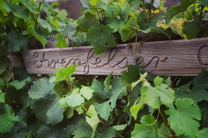 Wine Tasting Experience at Every Man and His Dog Vineyard - Final Thoughts  