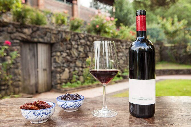 Wine Tasting Experience Etna Nord - Who Will Love This Experience?