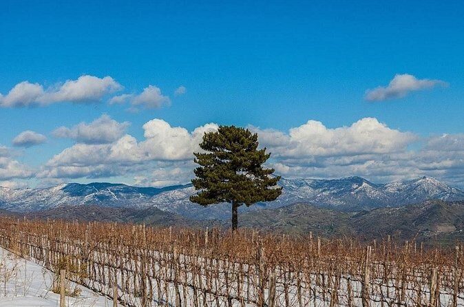 Wine Tasting Experience Etna Nord - FAQ