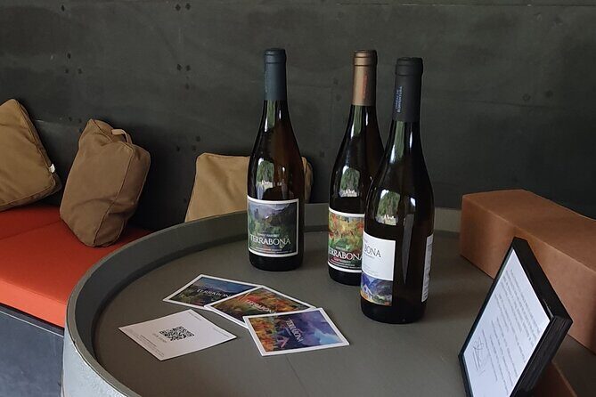 Wine Tasting Experience in Boaventura, Madeira North Coast - Authentic Reviews and What Travelers Say