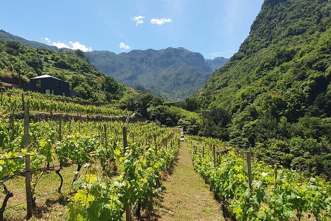 Wine Tasting Experience in Boaventura, Madeira North Coast - FAQs