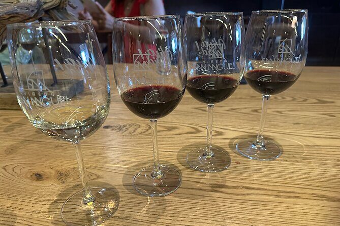 Wine Tasting experience in San Miguel de Allende - Key Points