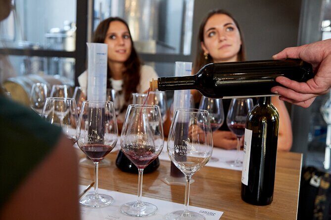 Wine Tasting Experience - Urban Cellar - A Closer Look at the Urban Cellar Wine Tasting Tour