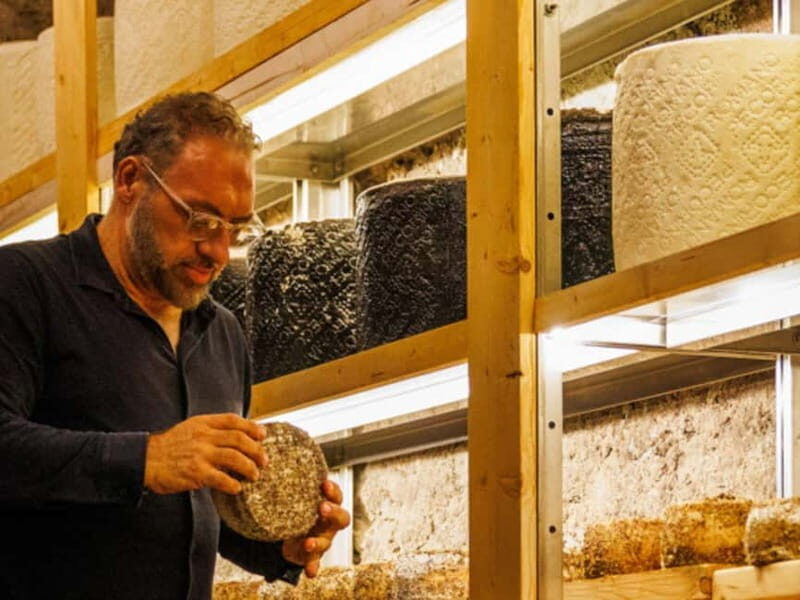 Wine Tasting & Food Pairing in Underground Cellar in Rome - Who Will Love This Experience?  