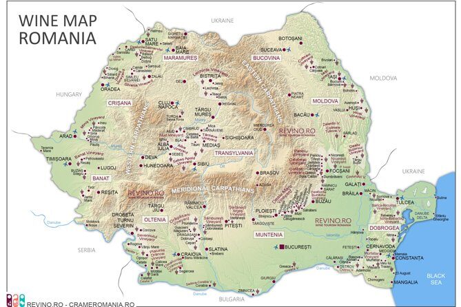 Wine Tasting in Bucharest long version - Key Points