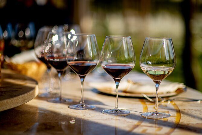 Wine Tasting in Historic Open-Lounge room - Who Should Book This Tour?