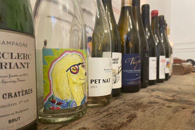 Wine Tasting in Lyon Small Group, Curated Wines - Who Should Book This Tour?