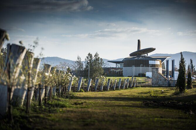 Wine Tasting in Pokolbin with Foodie Adventure - Why This Tour Adds Value