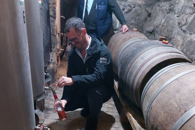 Wine Tasting in the Countryside from Budapest - A Closer Look at the Experience