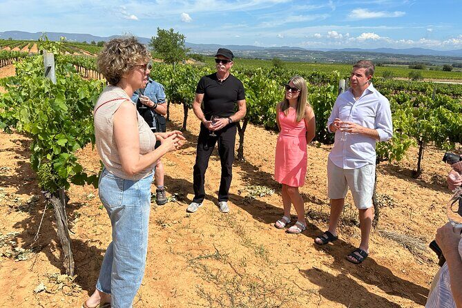 Wine Tasting in Three Boutique Wineries Tour - Max 8 people - Practical Details & Tips