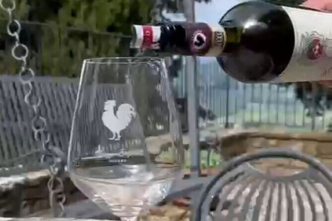 Wine tasting in TWO family wineries around Florence - Key Points