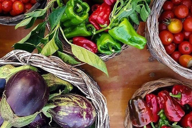 Wine tasting in Vieste - Value for Money and Practical Tips