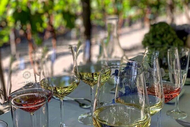 Wine Tasting Including Lunch - The Wine and Food Experience: What Sets It Apart