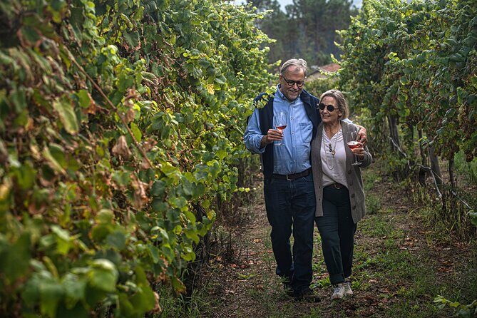 Wine Tasting & Lunch from Porto | Quinta de Santa Cristina - Who Is This Tour Best For?