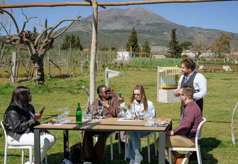 Wine Tasting on Mt. Vesuvius - Key Points