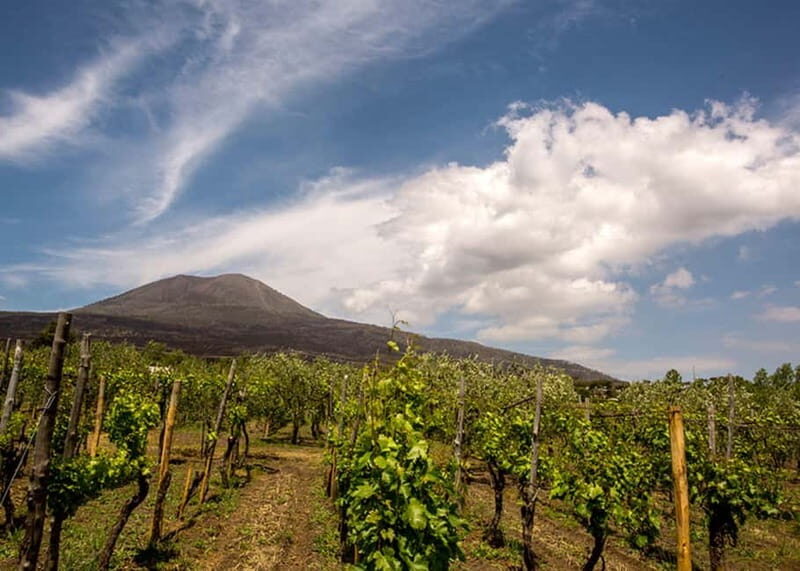 Wine Tasting on Mt. Vesuvius - Final Thoughts