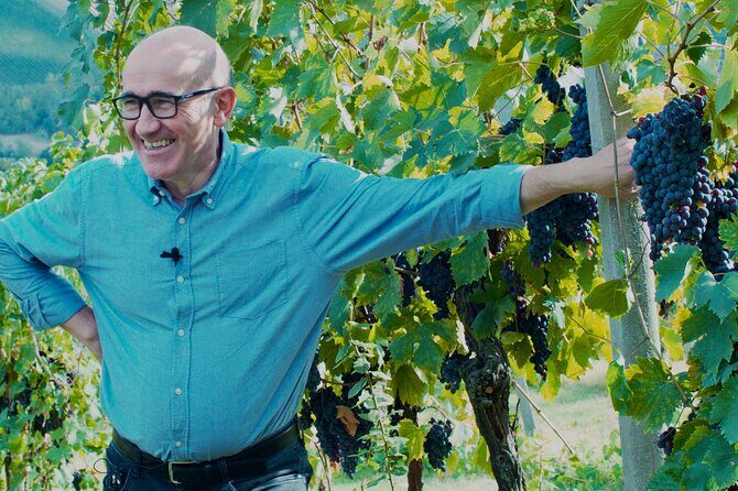 Wine tasting on the hills of Bologna in Dozza - An Authentic Taste of Bologna’s Hills: Wine Tasting on Dozza’s Vineyards