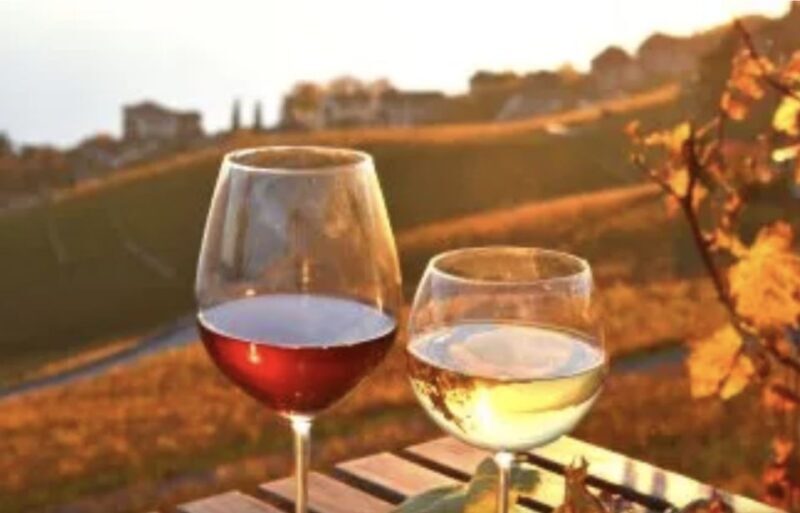 Wine Tasting - Private Half-Day Tour - What makes this tour special?