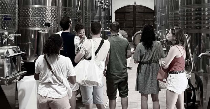 Wine Tasting Saint-Florent & Patrimonio - A Closer Look at the Itinerary