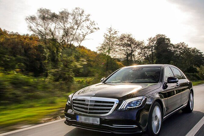 Wine Tasting & Shuttle Service - A Detailed Look at the Wine Tasting & Shuttle Service at Tenuta Torciano in San Gimignano