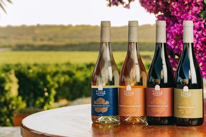 Wine Tasting & Tapas 4x4 Tours - Key Points