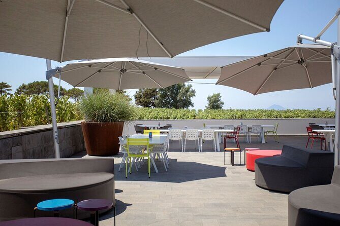 Wine tasting THE CLASSICS - Why This Tour Offers Good Value