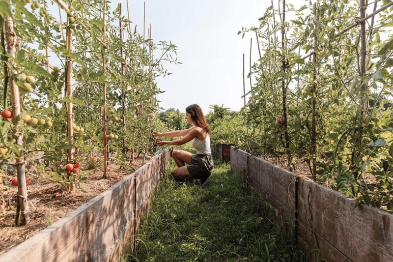 Wine Tasting: the flavors of the Prosecco Hills - Key Points  