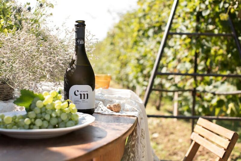 Wine Tasting: the flavors of the Prosecco Hills - FAQ