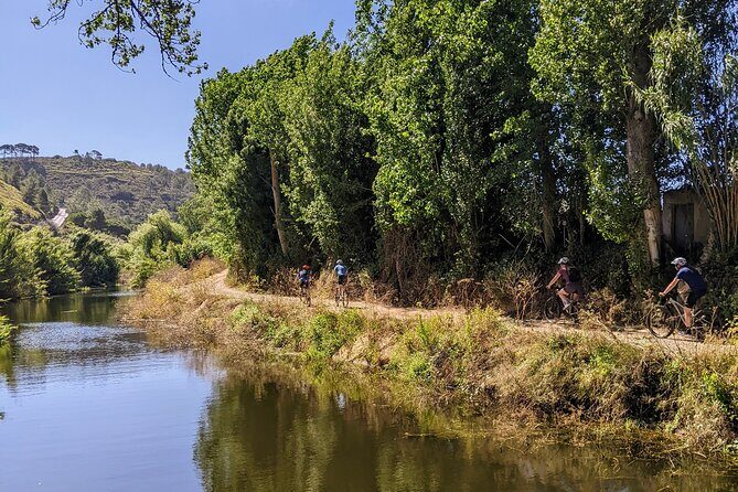 Wine Tasting Tour - An In-Depth Look at the Wine Tasting Tour