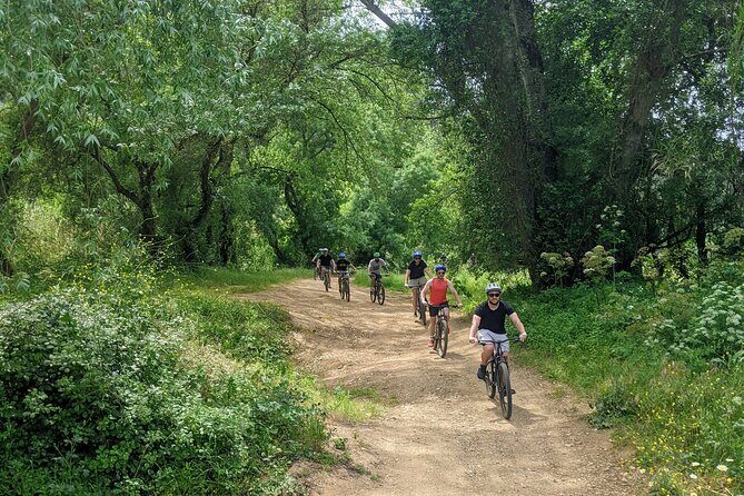 Wine Tasting Tour - What Makes This Tour Stand Out?