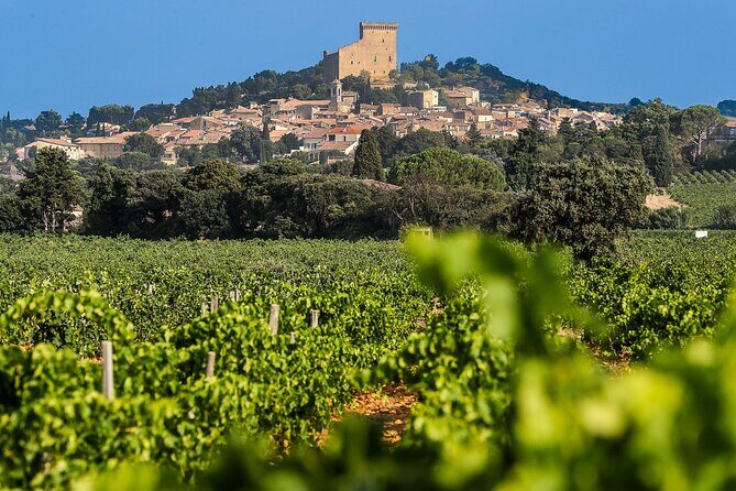 Wine Tasting Tour at Châteauneuf du Pape - Key Points