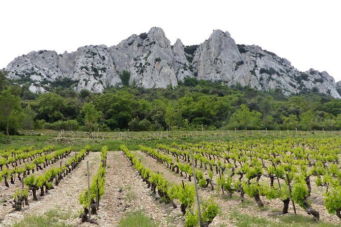 Wine Tasting Tour at Châteauneuf du Pape - The Guides: The Heart of the Tour