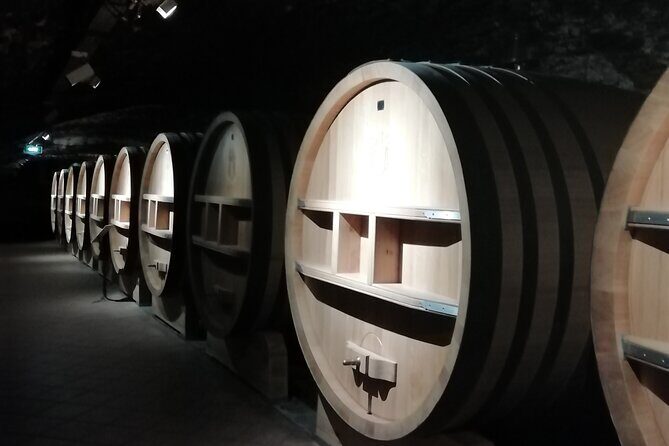 Wine Tasting Tour at Châteauneuf du Pape - The Authenticity and Experience Quality