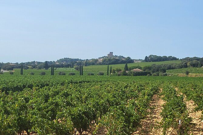 Wine Tasting Tour at Châteauneuf du Pape - Final Thoughts: Who is This Tour Perfect For?