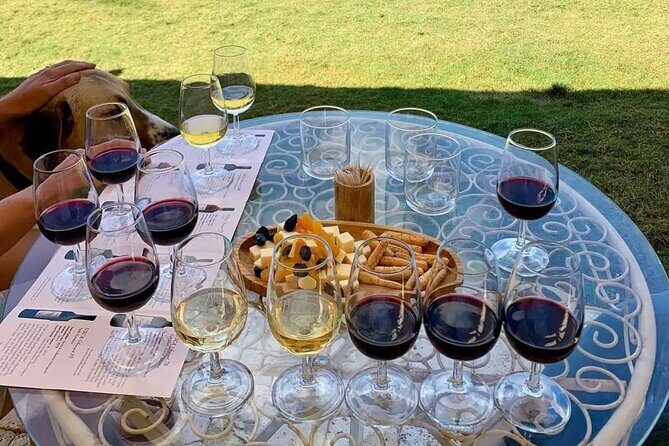 Wine Tasting Tour at Two Wineries in Urla Turkey - The Guide and Group Size: Why It Matters