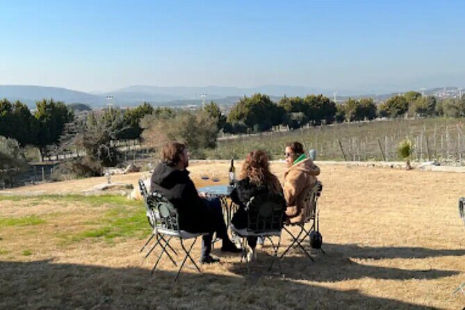 Wine Tasting Tour at Two Wineries in Urla Turkey - Who Is This Tour Best For?