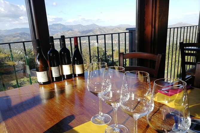 Wine Tasting Tour from Taormina - Gambino Winery: A Family Affair at the Foot of Mount Etna