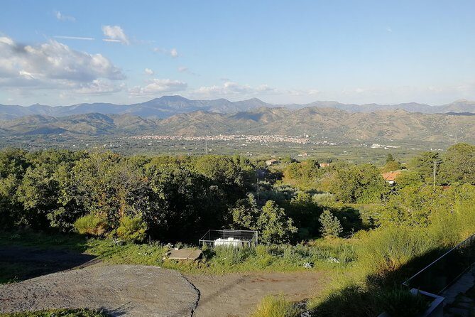 Wine Tasting Tour from Taormina - Transportation and Group Size: What Matters?