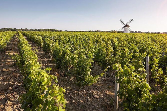 Wine tasting tour in Loire Valley with castle visits and lunch - Price and Value Analysis