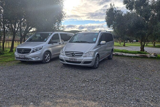 Wine Tasting Tour in Napier Region - Key Points