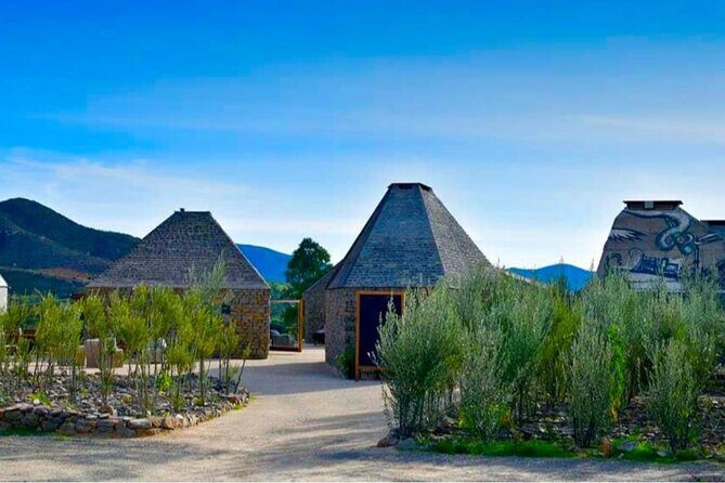 Wine Tasting Tour ONLY for Cruise Ship Visitors. ALL INCLUSIVE! - Why Choose This Ensenada Wine Tasting Tour?