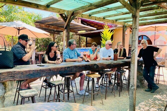 Wine Tasting Tour ONLY for Cruise Ship Visitors. ALL INCLUSIVE! - What Reviewers Say