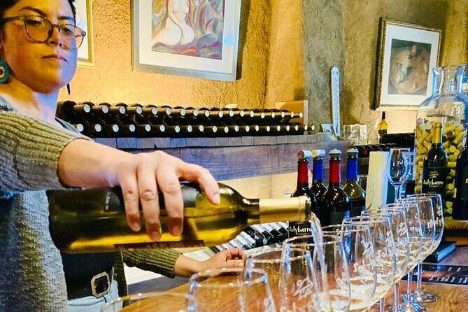 Wine Tasting Tour ONLY for Cruise Ship Visitors. ALL INCLUSIVE! - Who is This Tour Best Suited For?