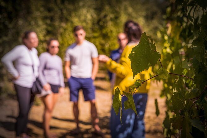 Wine Tasting & Tour Premium - Key Points