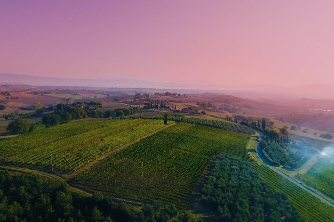 Wine Tasting & Tour Premium - Who Is This Tour Best For?