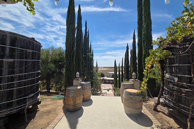 Wine tasting Tour to Temecula from San Diego (Private) - Final Thoughts