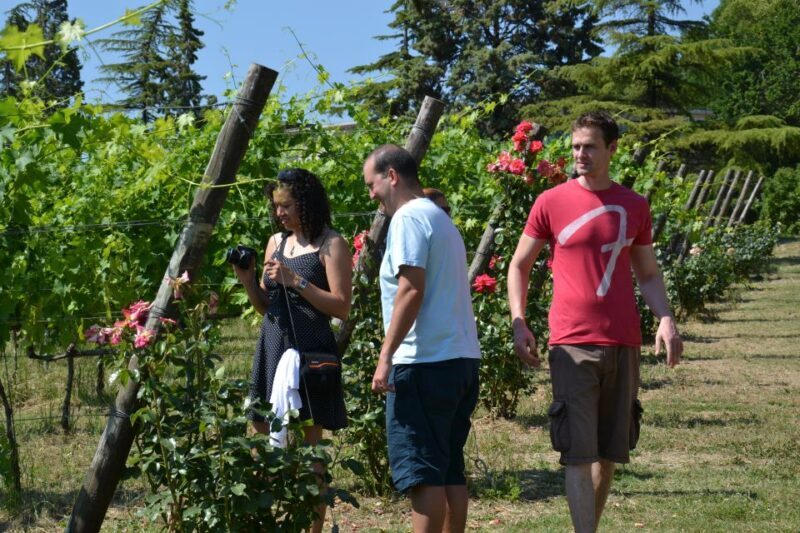 Wine tasting tour with olive oil and salami - The Guide and Group Dynamics