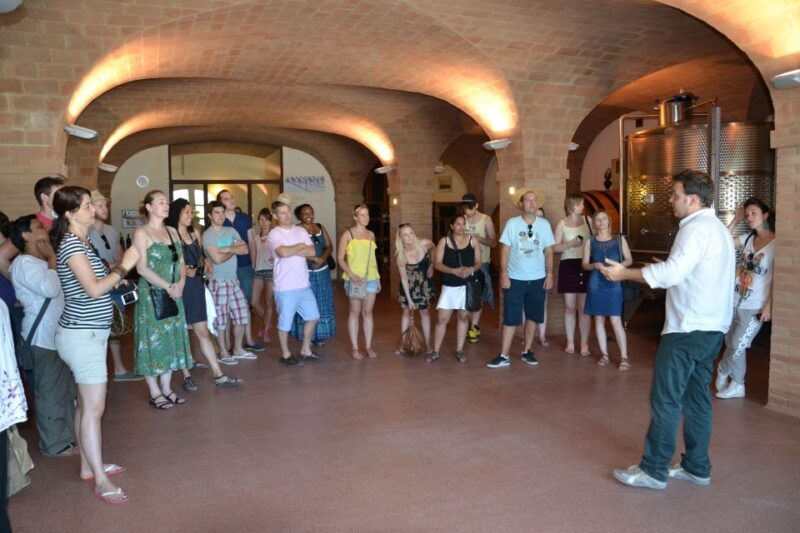 Wine tasting tour with olive oil and salami - Who Will Love This Tour?