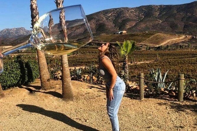Wine tasting Valle de Guadalupe & Casa Frida - What the Reviews Tell Us